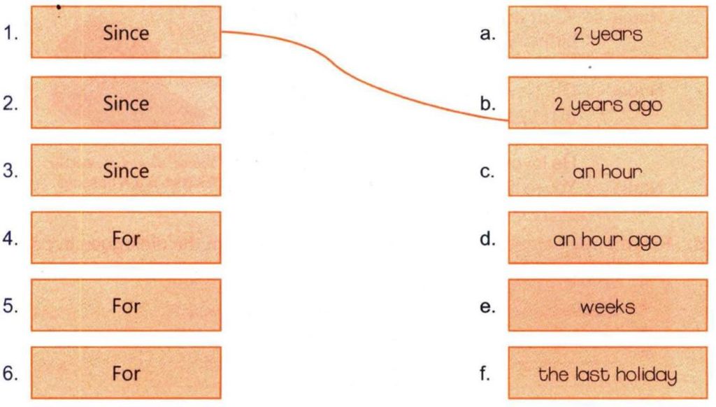 Match the words correctly. Draw a line.