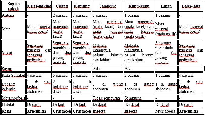 Lakukan pengamatan ciri morfologi pada koleksi hew...
