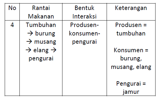 Tuliskan rantai makanan yang ditunjuk pada Gambar ...