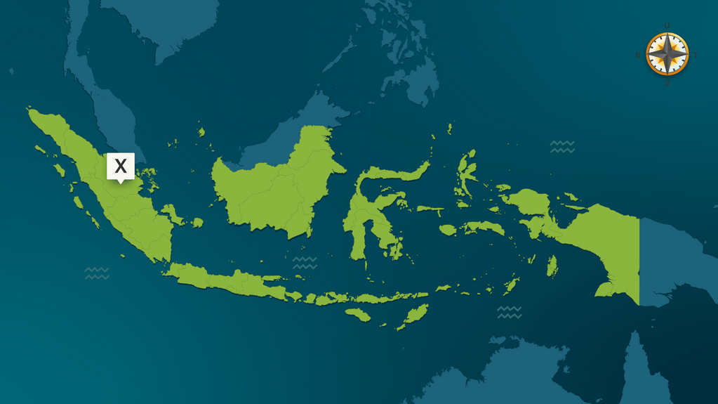 Perhatikan gambar berikut ini! Tipe fauna...